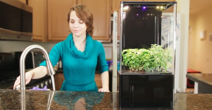 EcoQube Air - The World's First Desktop Greenhouse | Indiegogo
