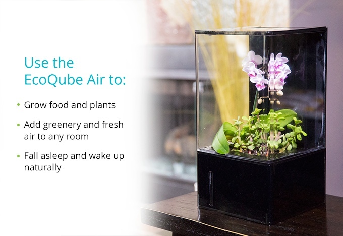 EcoQube Air - The World's First Desktop Greenhouse | Indiegogo