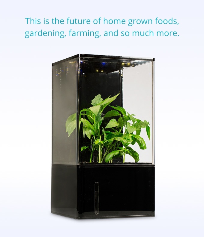 EcoQube Air - The World's First Desktop Greenhouse | Indiegogo