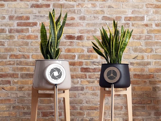 The Most Amazing Natural Air Purifier | Indiegogo