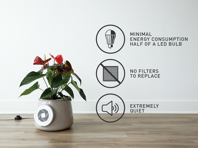 The Most Amazing Natural Air Purifier | Indiegogo