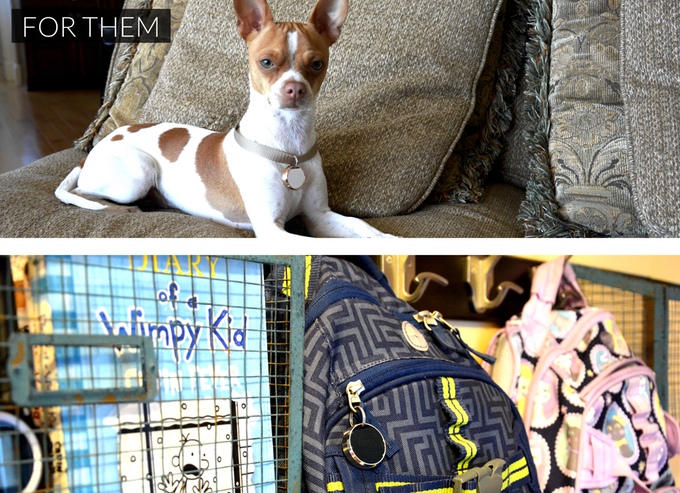 Pebblebee Finder - Lost is found. | Indiegogo