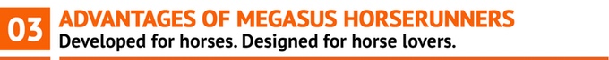 Megasus Horserunners - For horses and horse lovers | Indiegogo