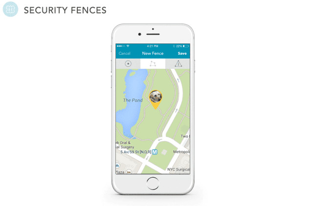 Findster Duo: GPS Pet Tracker Without Monthly Fees | Indiegogo