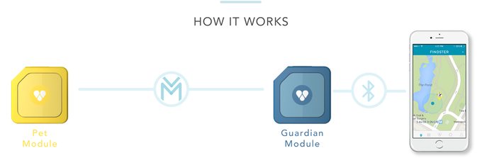 Findster Duo: GPS Pet Tracker Without Monthly Fees | Indiegogo