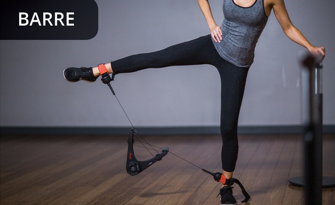 OYO Personal Gym - All In One Portable Gym | Indiegogo