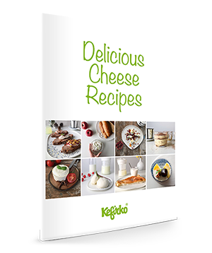 KEFIRKO CHEESE MAKER | Indiegogo