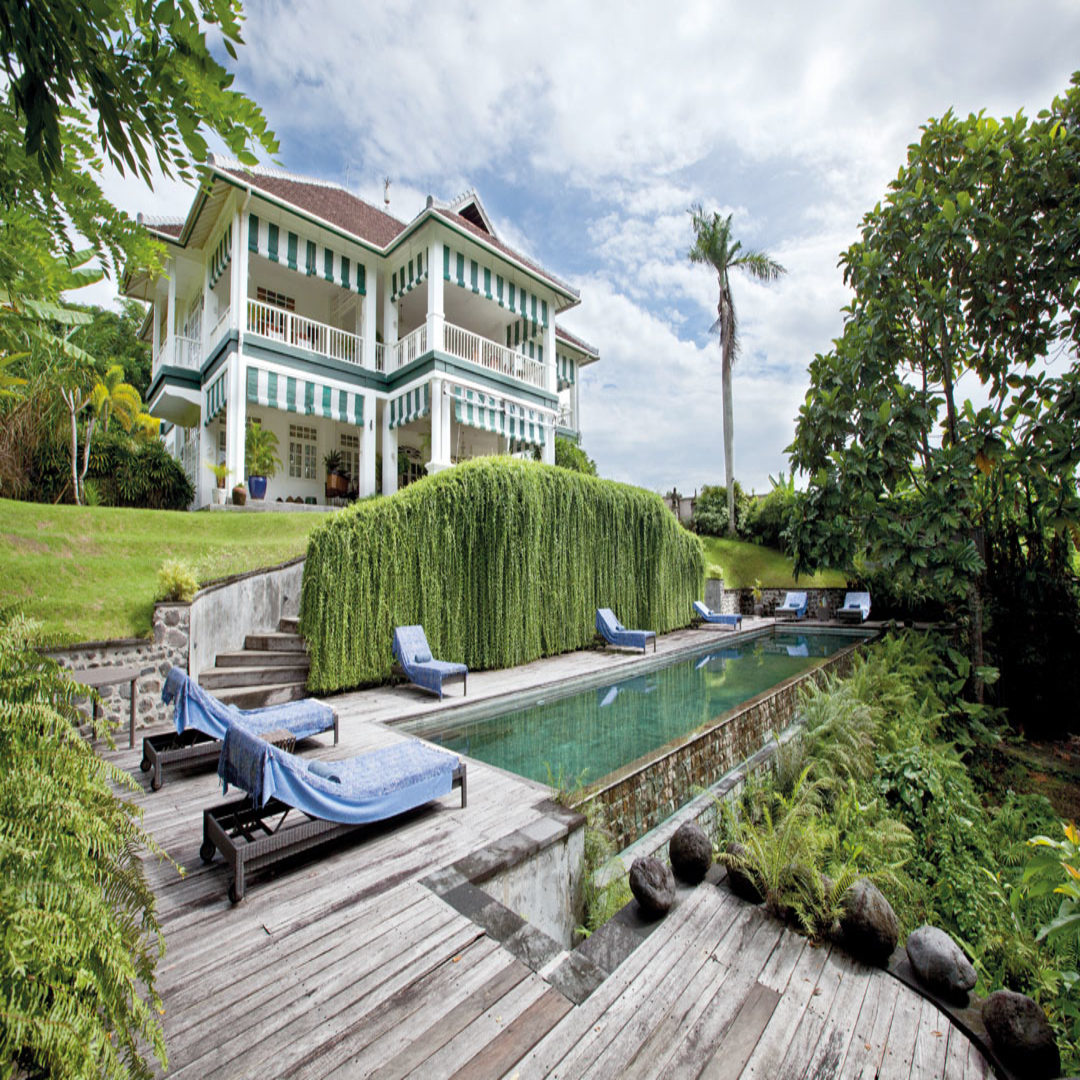 Cabinet of Curiosities