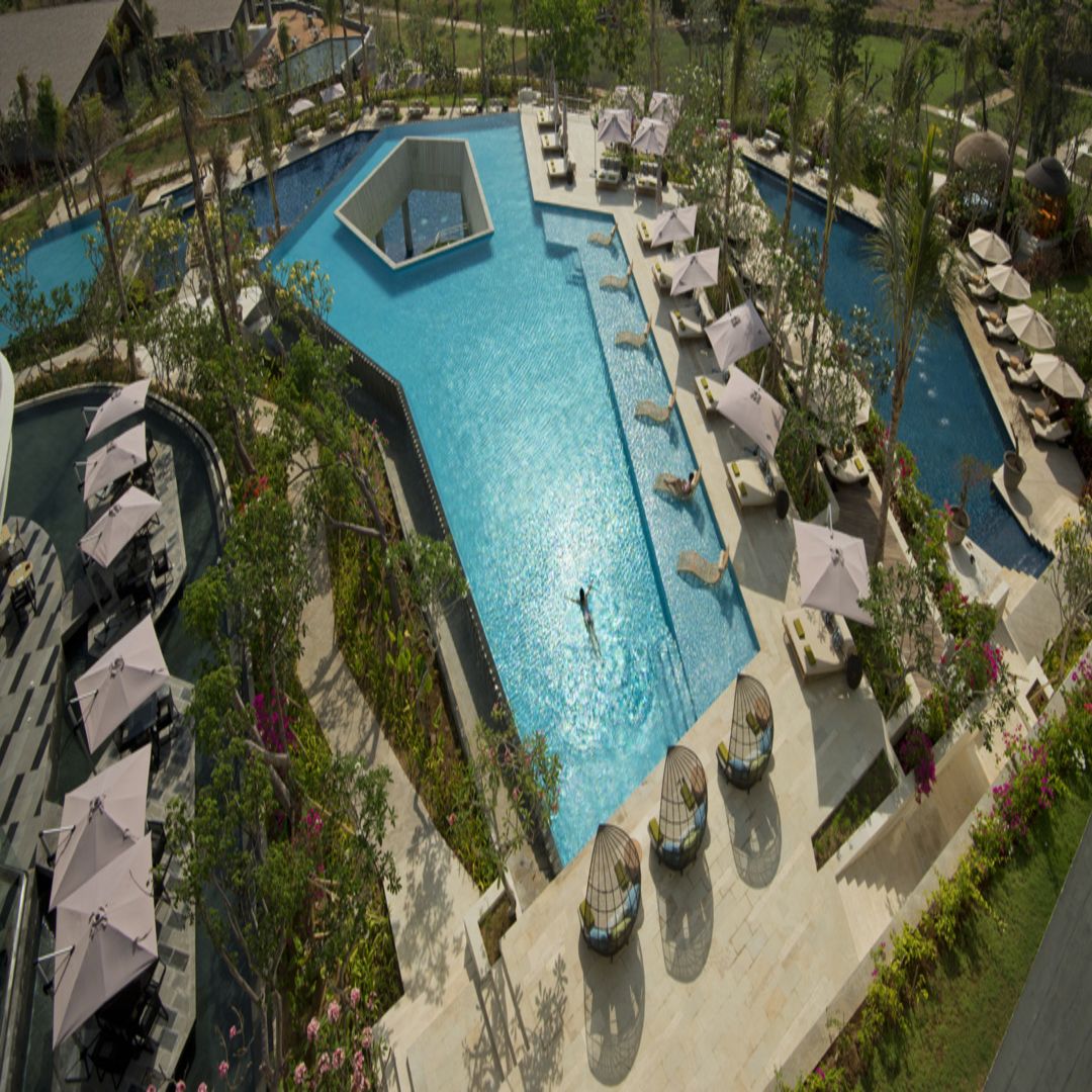 A Forest for the Whole Family