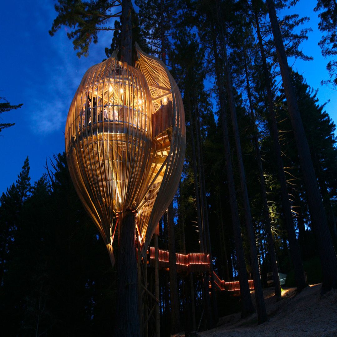 7 Out-of-the-World Modern Tree House Designs (2020)