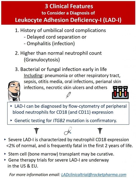 Resources / Information Booth / JMF