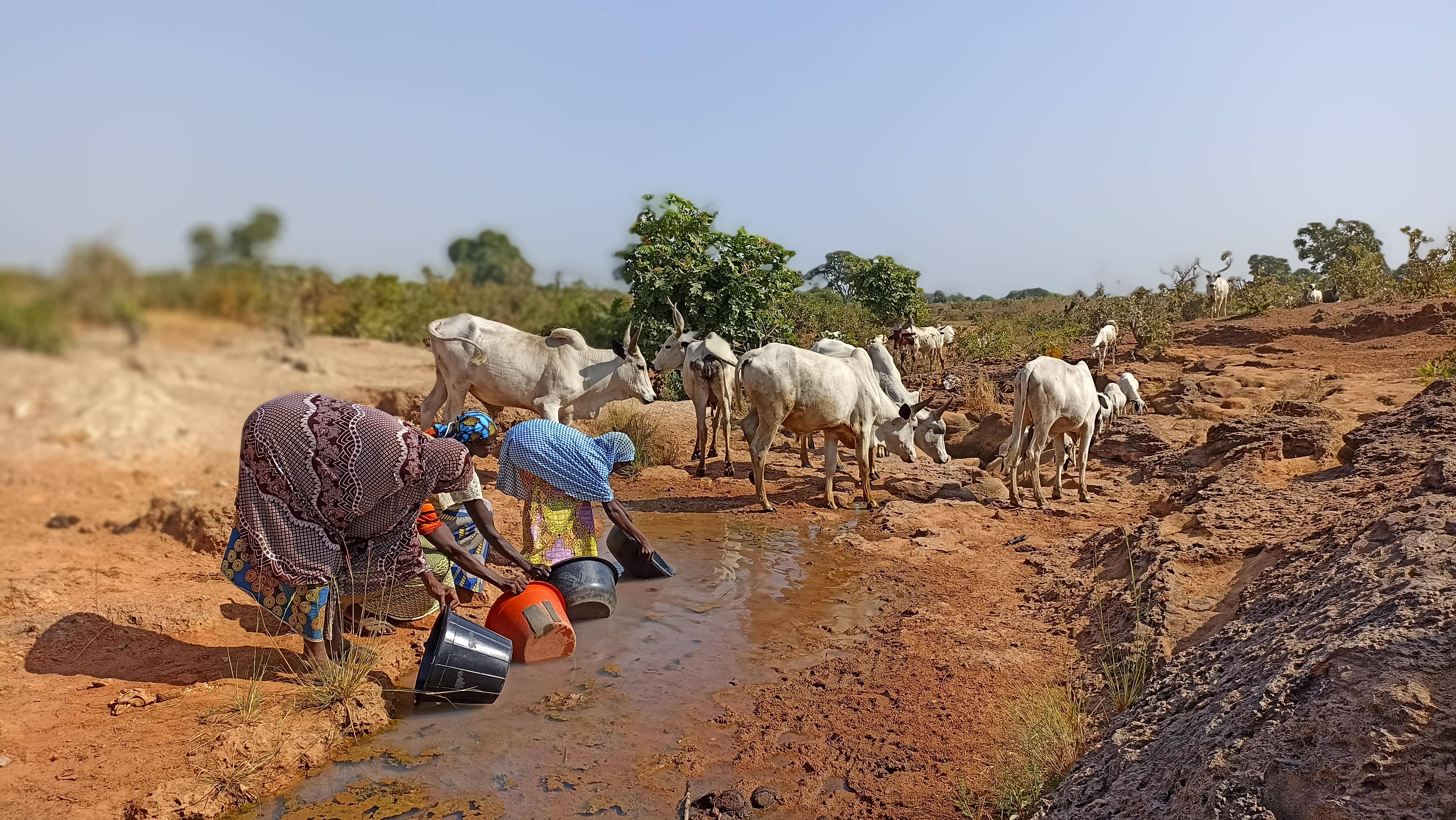 Cameroon Projects | Changing Lives with Innovation