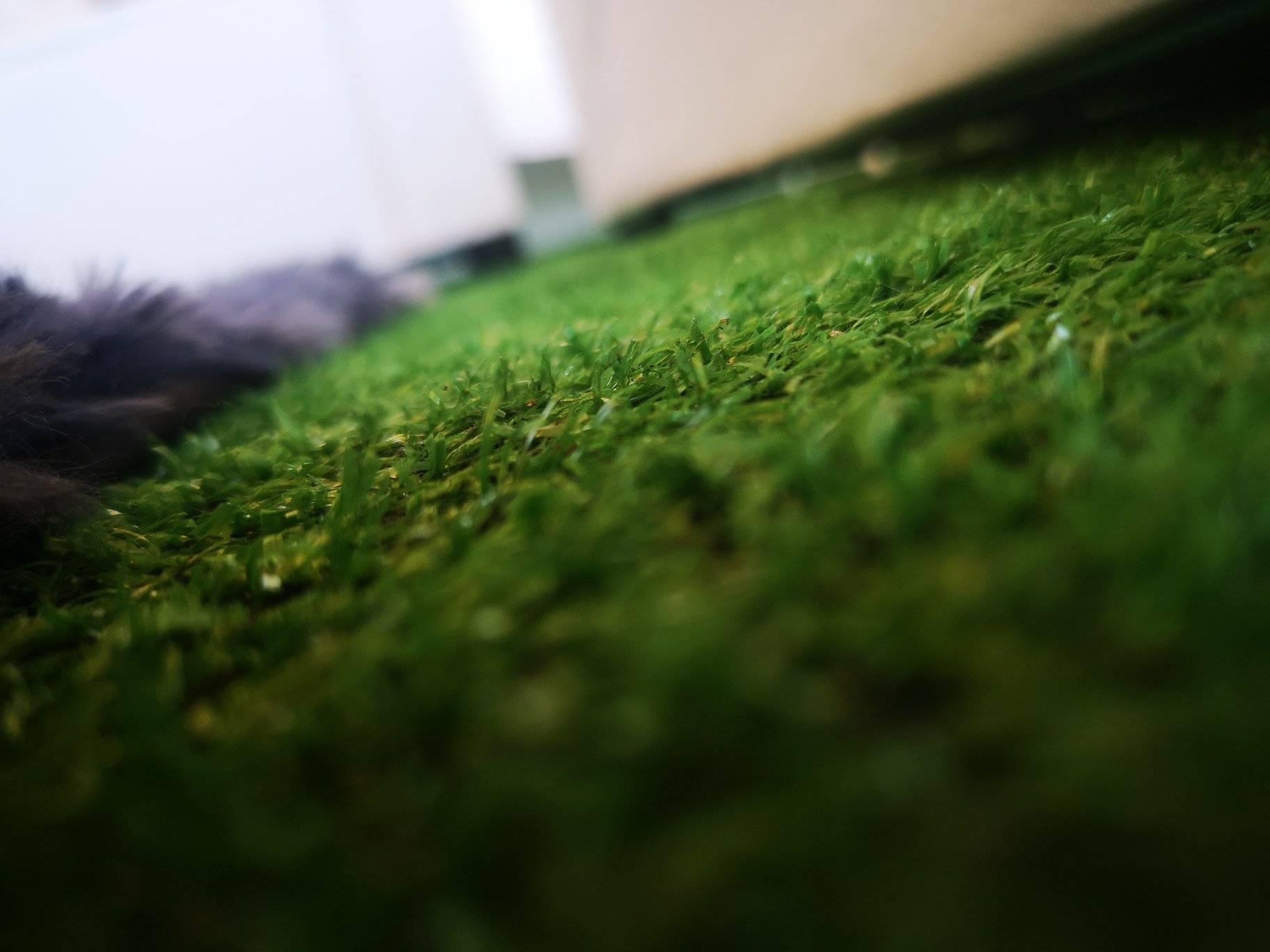 Ngcoseni Community High- Shunifu |Education is strength