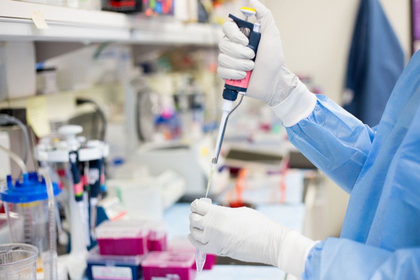 Study Biomedical Science Experience Job Opportunities Salary