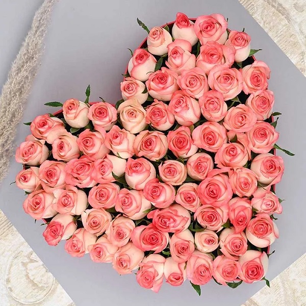 Order 75 Pink Roses For Valentine online | free delivery in 3 hours ...