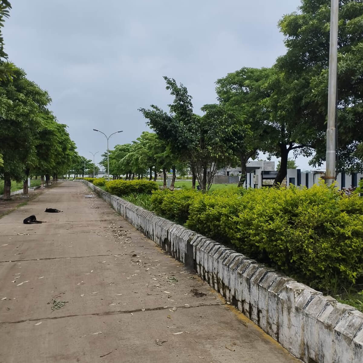 Fortune Smart City - Fortune Builders