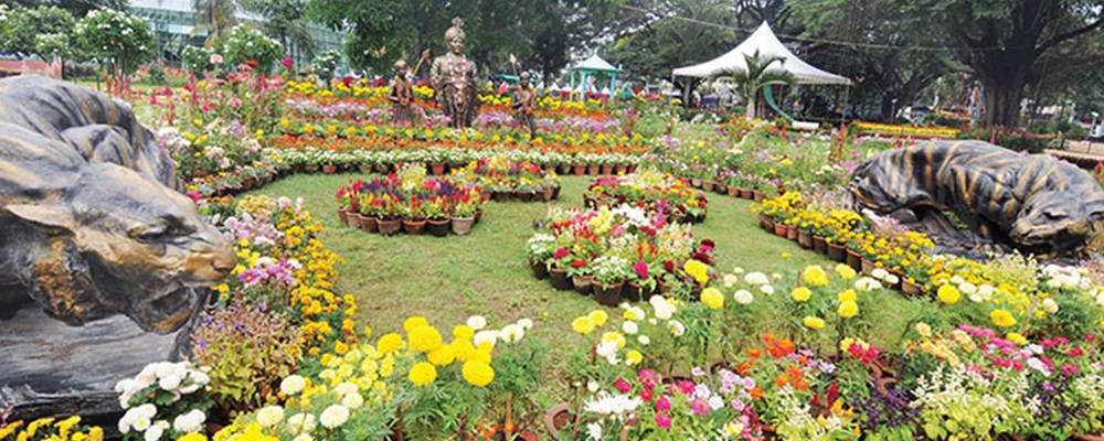 India's Top 7 Flower Festivals You Can't Miss
