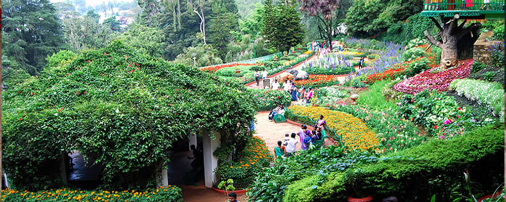 India's Top 7 Flower Festivals You Can't Miss