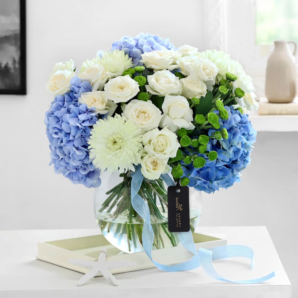 Blue Flowers 6947710 Oxypetalum Blue (Per Bunch) Wholesale Flowers