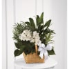 The FTD Peace And Serenity Dishgarden: Order Flowers Online ...