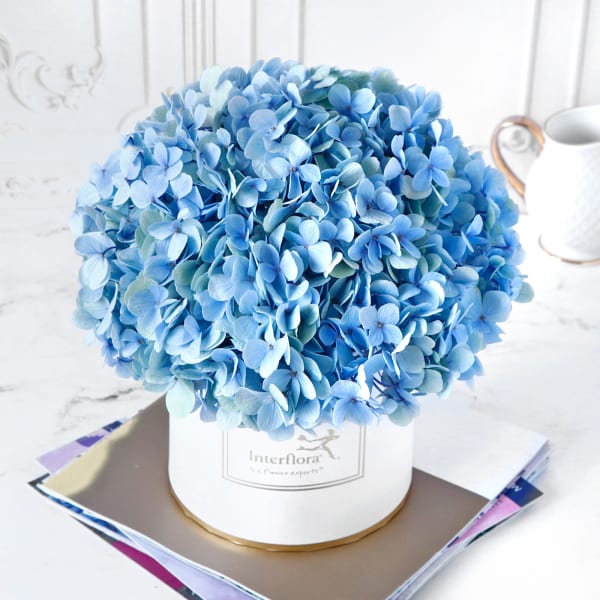 Blue Beauty Flower Box: Order Birthday Flowers Online | Interflora India