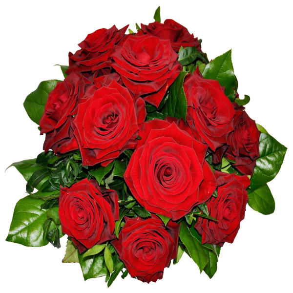 Tantalizing 12 Roses: Order Flowers Online | Interflora India