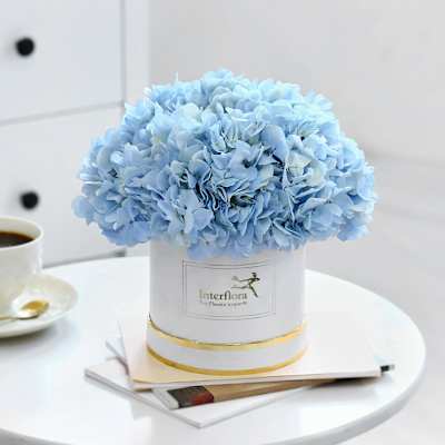 Blue Beauty Flower Box: Order Birthday Flowers Online | Interflora India