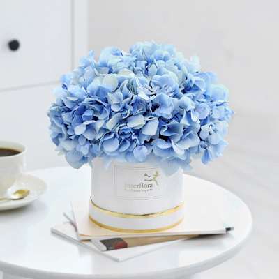 Blue Beauty Flower Box: Order Birthday Flowers Online | Interflora India