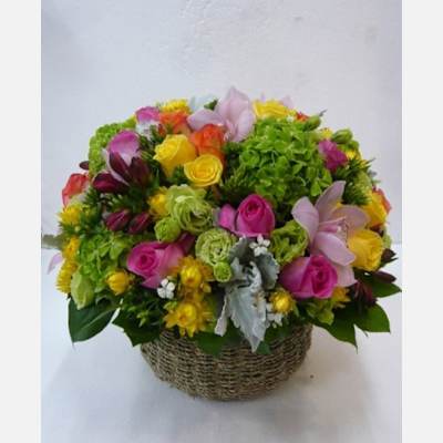 Cheers: Order Flowers Online | Interflora India | ID1377156