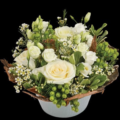 Cocon: Order Flowers Online | Interflora India | ID1281685