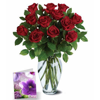 Dozen Roses n Card: Order Flowers Online | Interflora India | JVS1177610