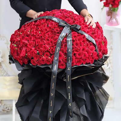 Eternal Elegance Roses Bouquet - 1000 Stems: Order Flowers Online ...