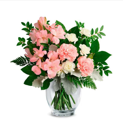 Light Pink Beauty: Order Flowers Online | Interflora India | JVS1199918
