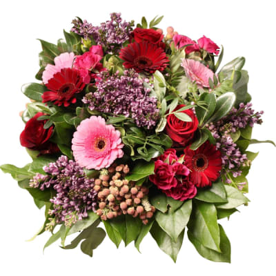 Lotte: Order Flowers Online | Interflora India | ID1348222