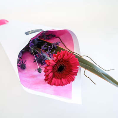 Single Flower: Order Flowers Online | Interflora India | ID1358271