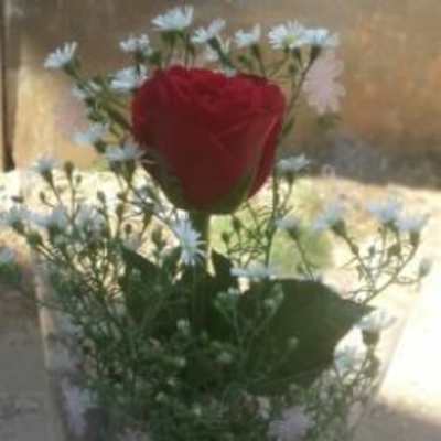 Single Flower: Order Flowers Online | Interflora India | ID1380621