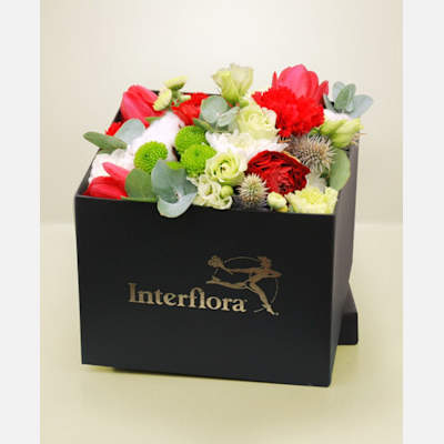 Special: Order Flowers Online | Interflora India | ID1356949