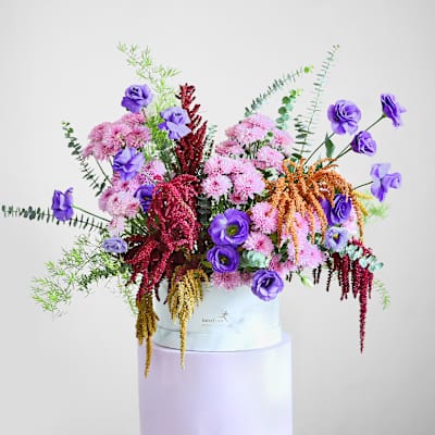 Untamed Muse: Order Congratulations Flowers Online | Interflora India