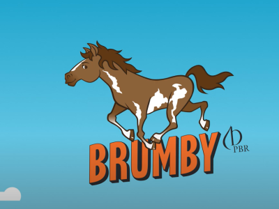 NEW - Brumby - InterGrain - High Yielding APW wheat