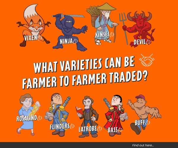 Australian Barley | Australian Wheat | Intergrain