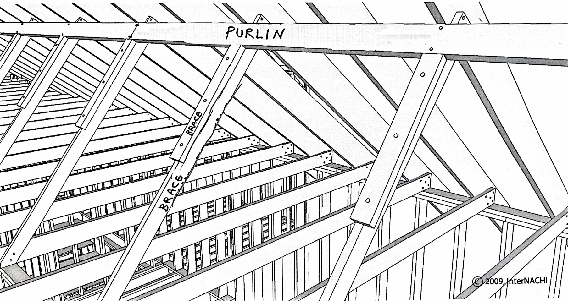 Rafters And Purlins