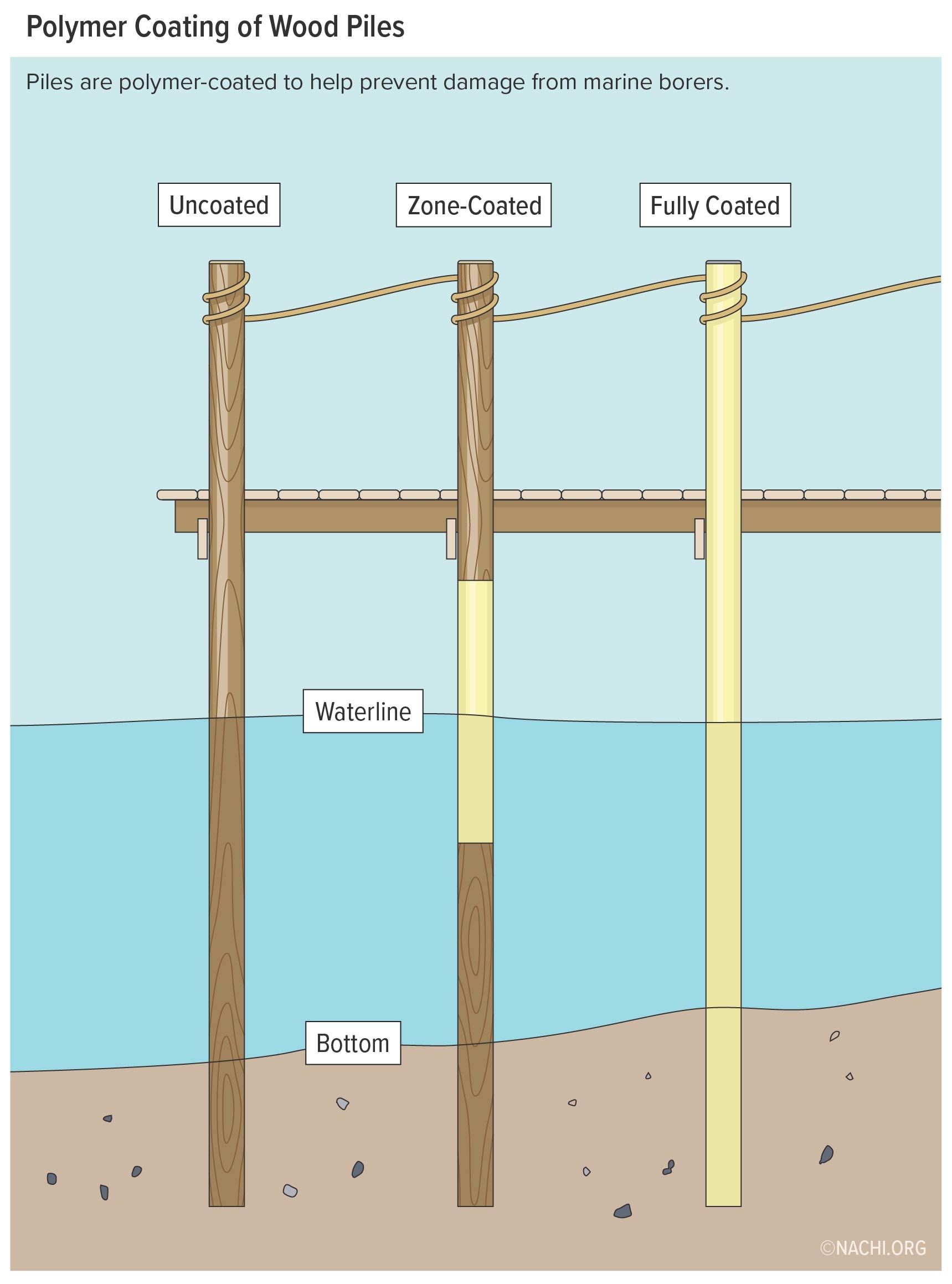 Polymer Coating for Wood Pilings - Inspection Gallery - InterNACHI®