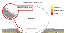 Roofing > Wind and Hail Damage - Inspection Gallery - InterNACHI®