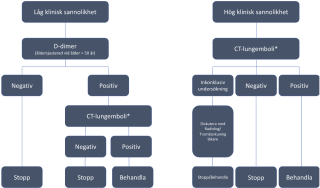 Lungemboli (blodpropp i lungan)