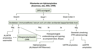 Hjärtamyloidos (amyloid kardiomyopati)