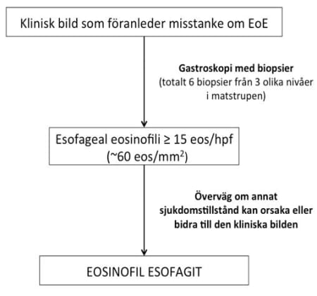 Eosinofil esofagit hos barn och ungdomar
