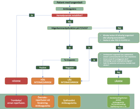 Lungemboli (blodpropp i lungan)