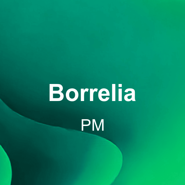 Borrelia