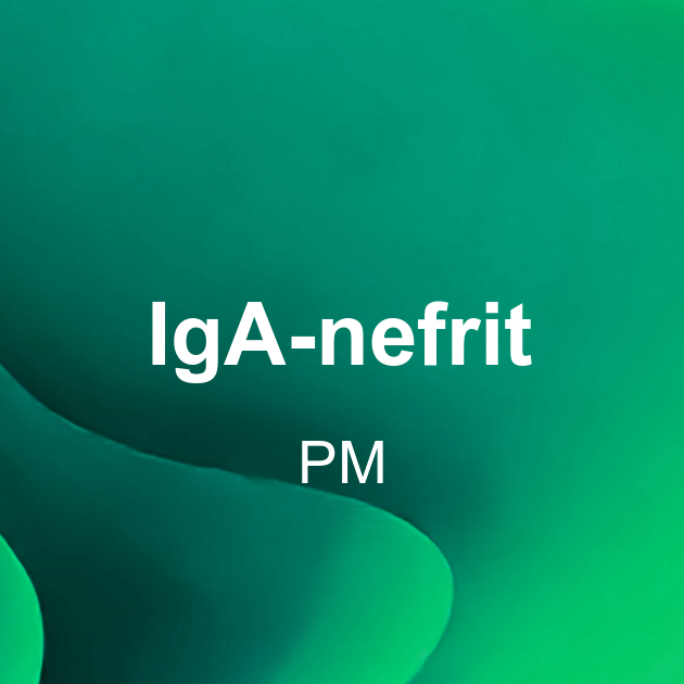 IgA-nefrit
