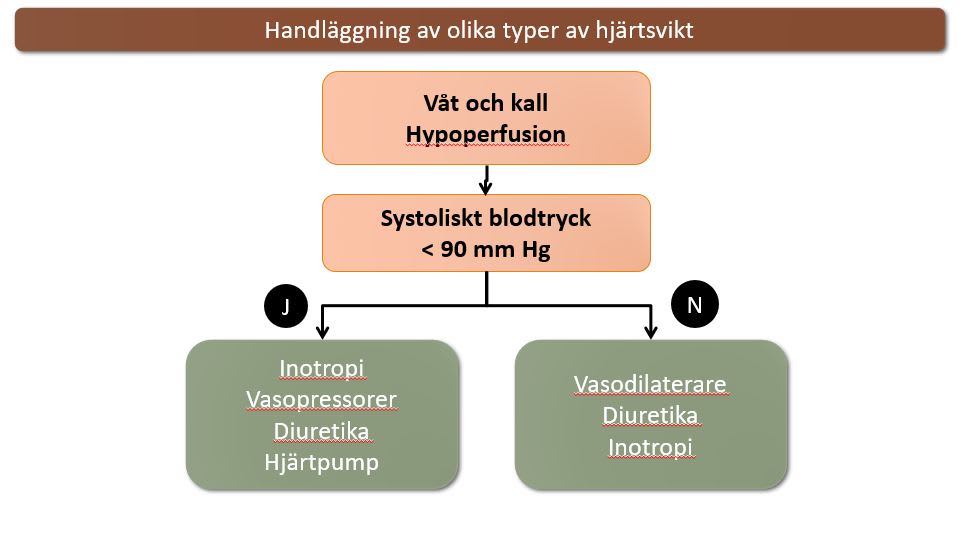 Hjärtsvikt, akut